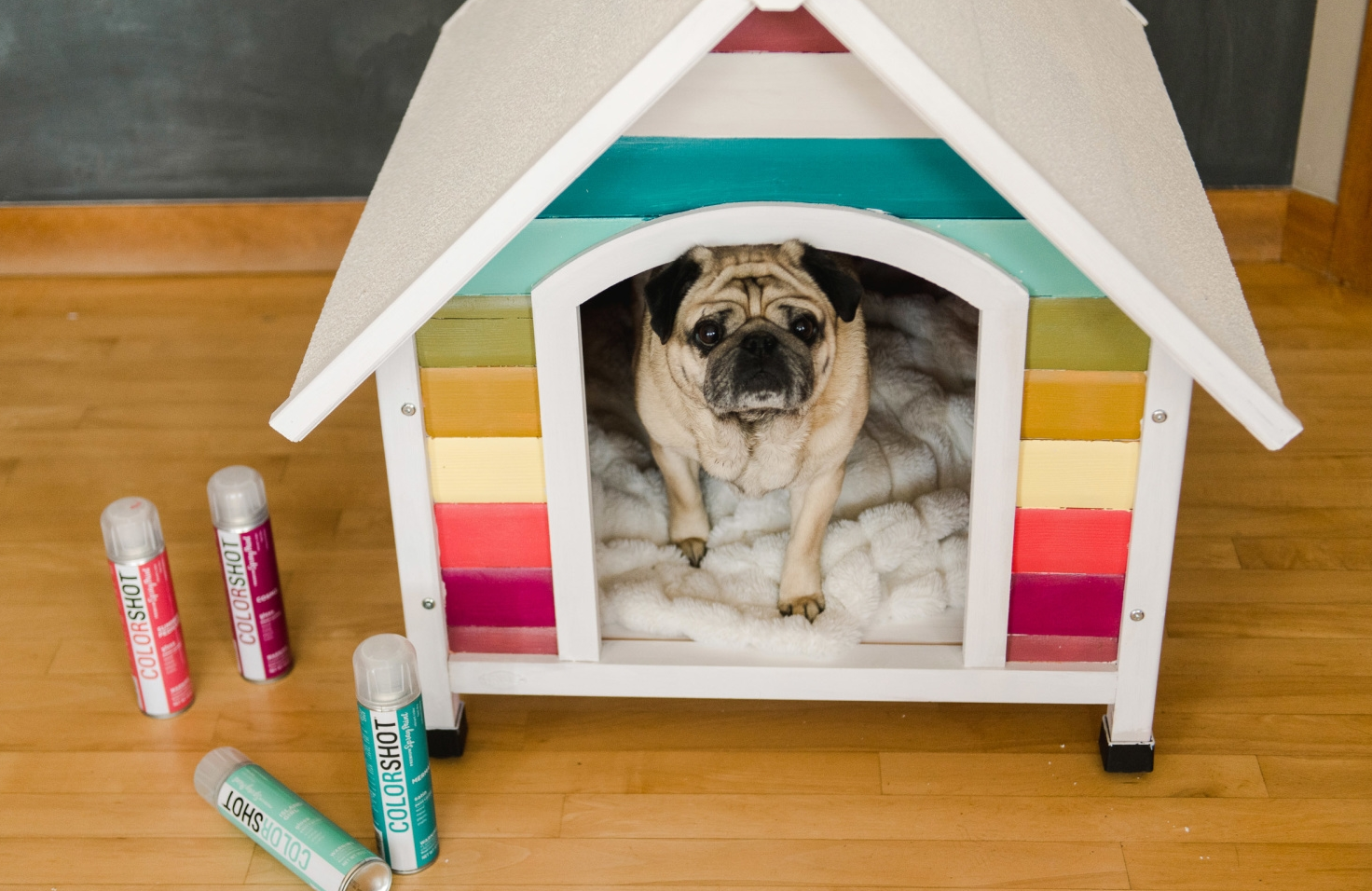 DIY Dog House Makeover with Spray Paint – COLORSHOT