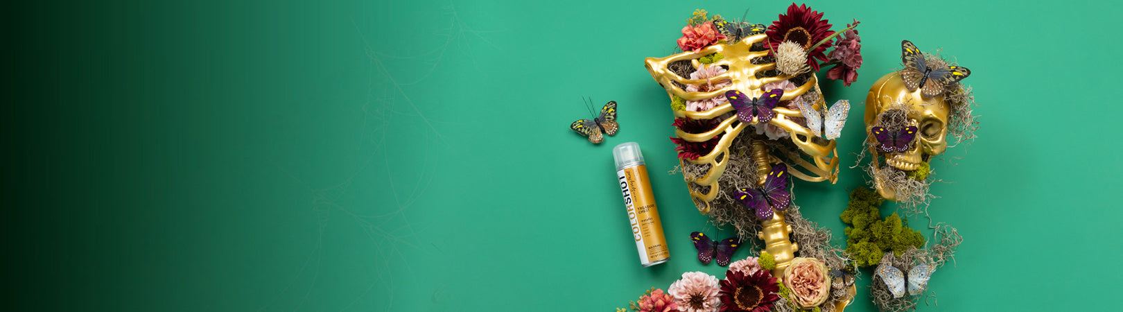 COLRSHOT Premium Spray Paint – COLORSHOT