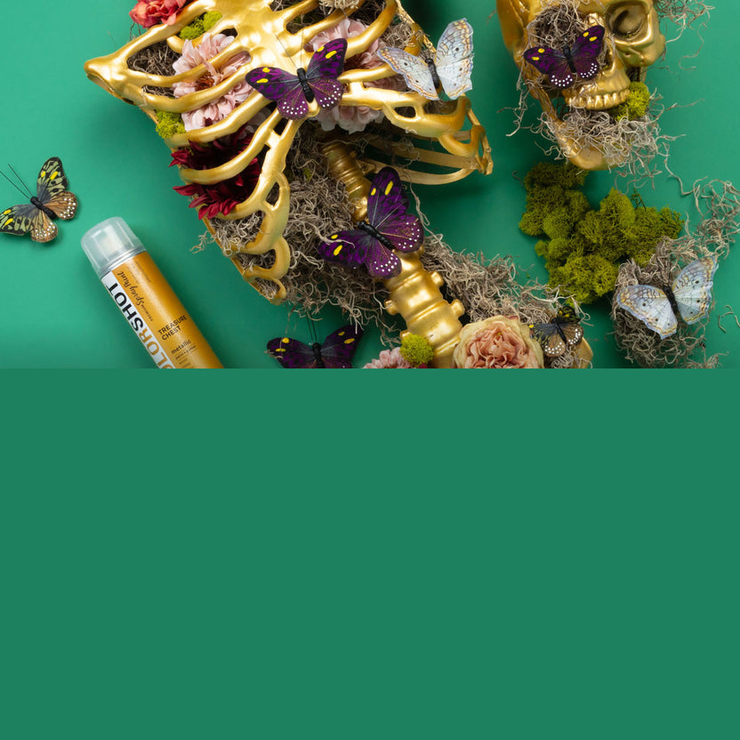 COLRSHOT Premium Spray Paint – COLORSHOT